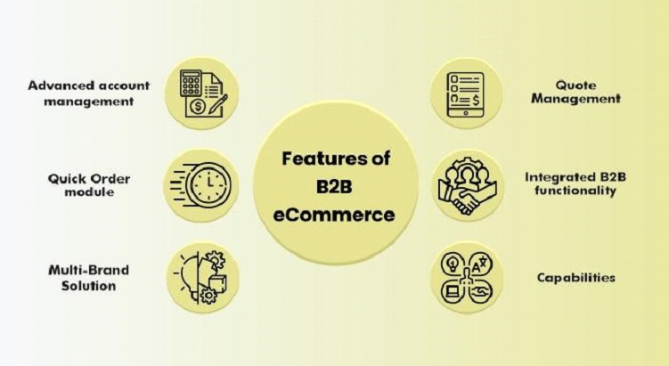 Detailed Guide On B2B e-commerce | MageAnts
