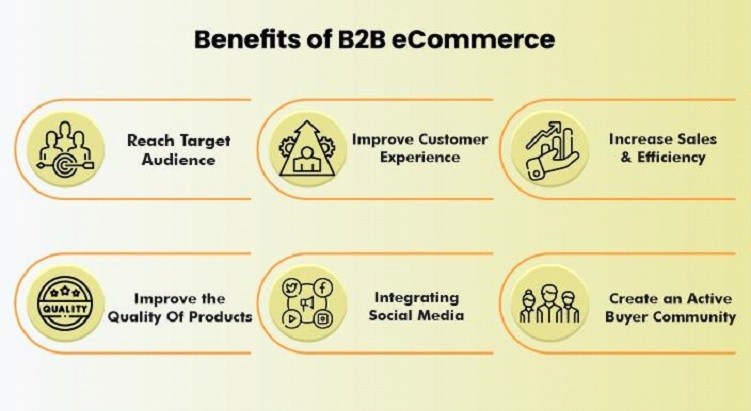 Detailed Guide On B2B e-commerce | MageAnts